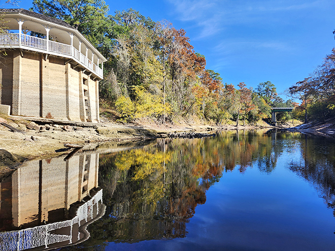 Fall colors reflect perfectly in the Suwannee's calm waters, doubling the visual feast for photographers and nature lovers alike.