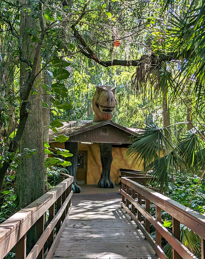 The boardwalk leads to prehistoric encounters that are thankfully much safer than the ones in certain dinosaur-themed movies we all know.