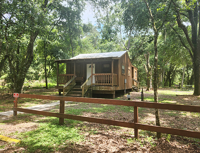 Rustic comfort awaits in this charming cabin, where wilderness meets convenience for those wanting to extend their nature immersion overnight.