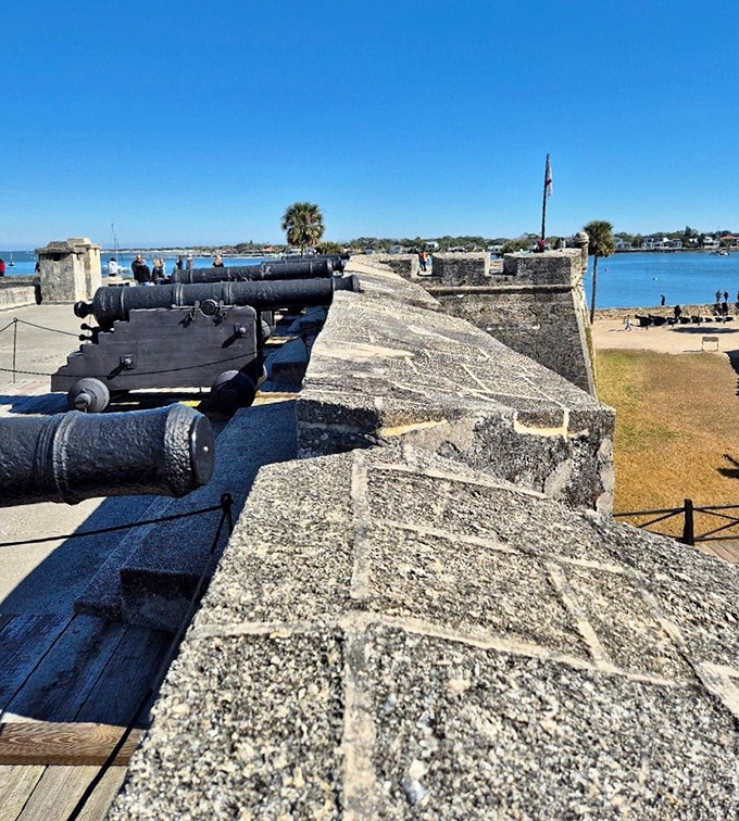 These cannons once defended against British warships; now they defend against tourists trying to take selfies without paying admission.