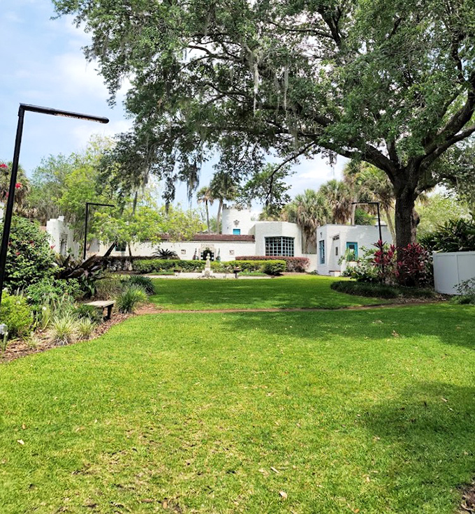Oak trees create a natural cathedral over this central lawn, where white buildings peek through the greenery like architectural treasures waiting to be discovered.