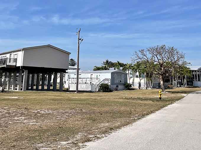 The bay stretches to the horizon in shades of blue and green, reminding you that Florida's greatest luxury is still its natural beauty.