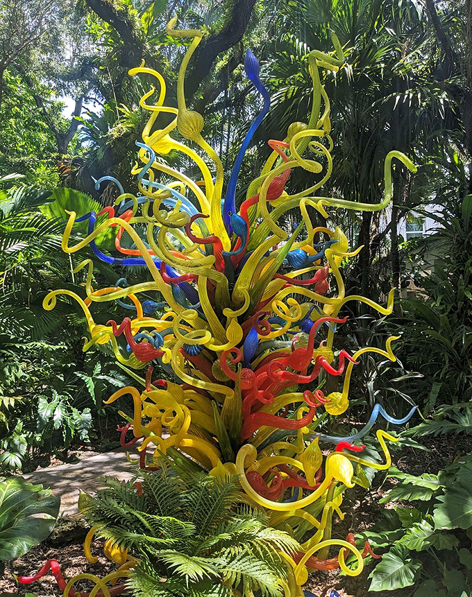 Chihuly's glass sculpture erupts in a technicolor explosion, like what might happen if fireworks froze mid-burst among the garden's greenery.