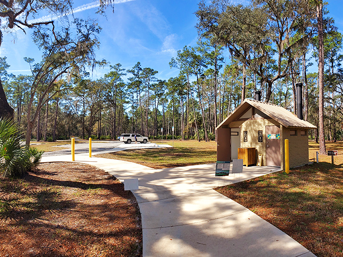 Modern facilities nestled among pine trees prove civilization and wilderness can be friendly neighbors.