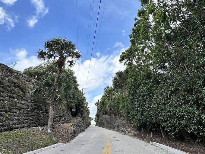 The coral walls create a microclimate several degrees cooler than surrounding areas &ndash; nature's own air conditioning system.