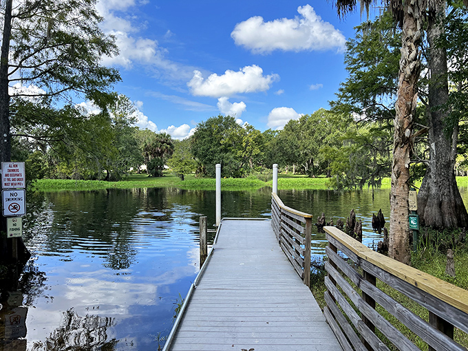 Gateway to tranquility – this simple dock invites contemplation and serves as the perfect launching point for water adventures.