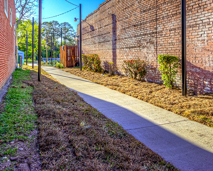 Brick pathways between buildings reveal Alachua's hidden corners, where unexpected discoveries await those who wander.