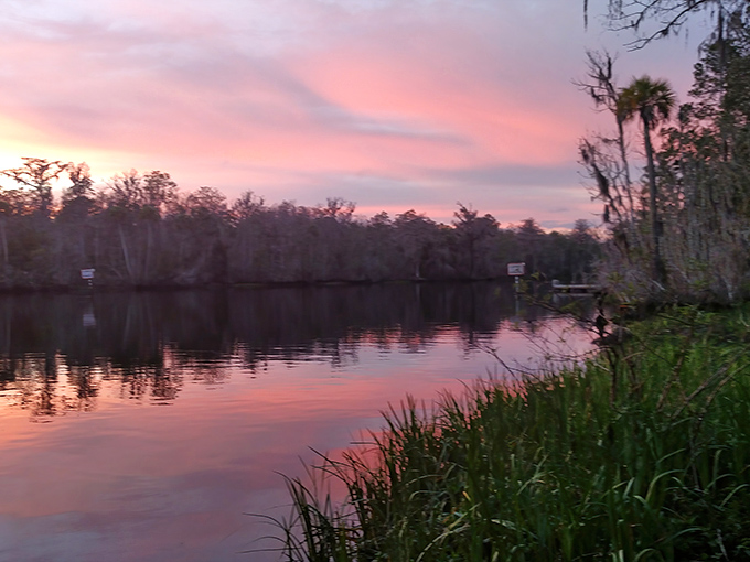 As day surrenders to dusk, the Wakulla River transforms into a watercolor painting that no gallery could ever properly display.