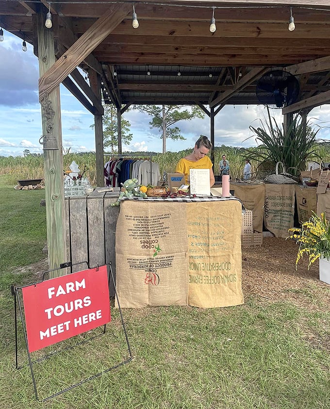 "Farm Tours Meet Here" promises adventures beyond mere sightseeing&mdash;a gateway to understanding where real food begins its journey.