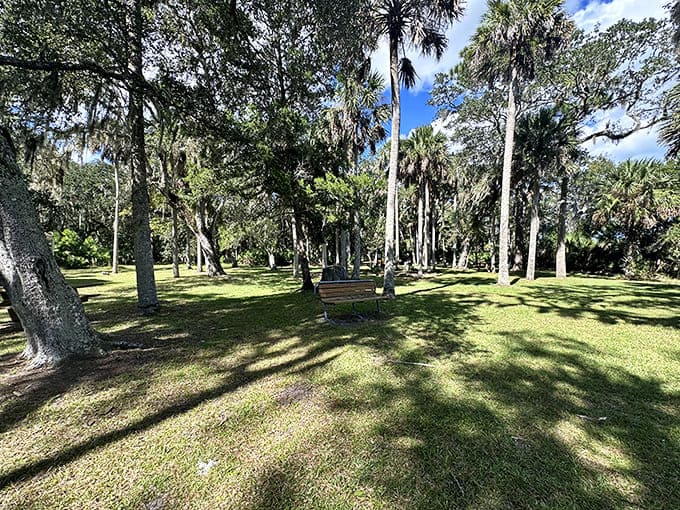 Wide Space Area: Sunlight dapples this tranquil clearing, where picnic benches invite visitors to pause and absorb the park's peaceful energy.