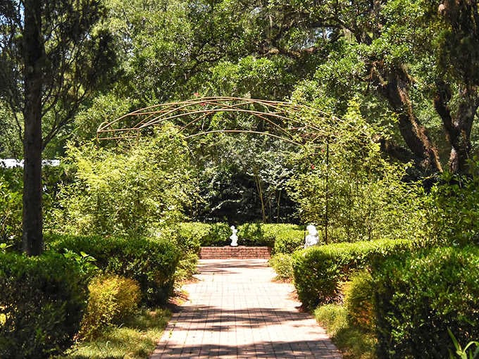 Garden geometry at its finest. This archway path draws you forward with the promise of hidden botanical treasures just around the bend.