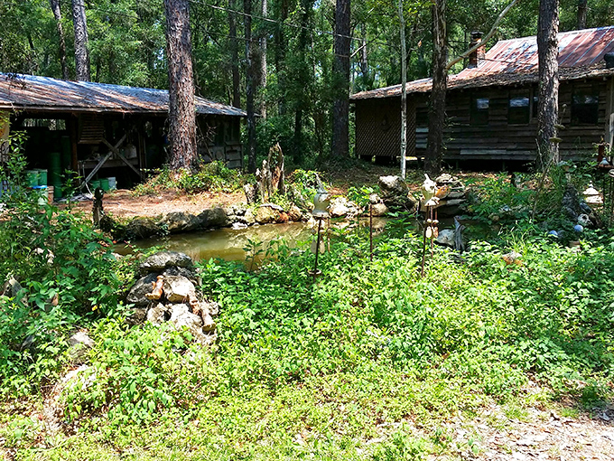 Rustic cabins nestled among lush greenery offer glimpses into Sopchoppy's simpler pleasures, where garden ponds replace swimming pools.