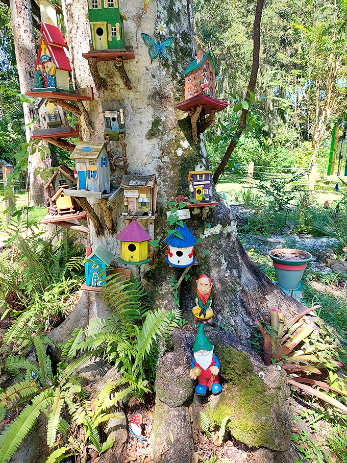 A tree trunk transformed into a gnome and birdhouse showcase, proving that with enough creativity and tiny houses, any vertical surface can become prime real estate.