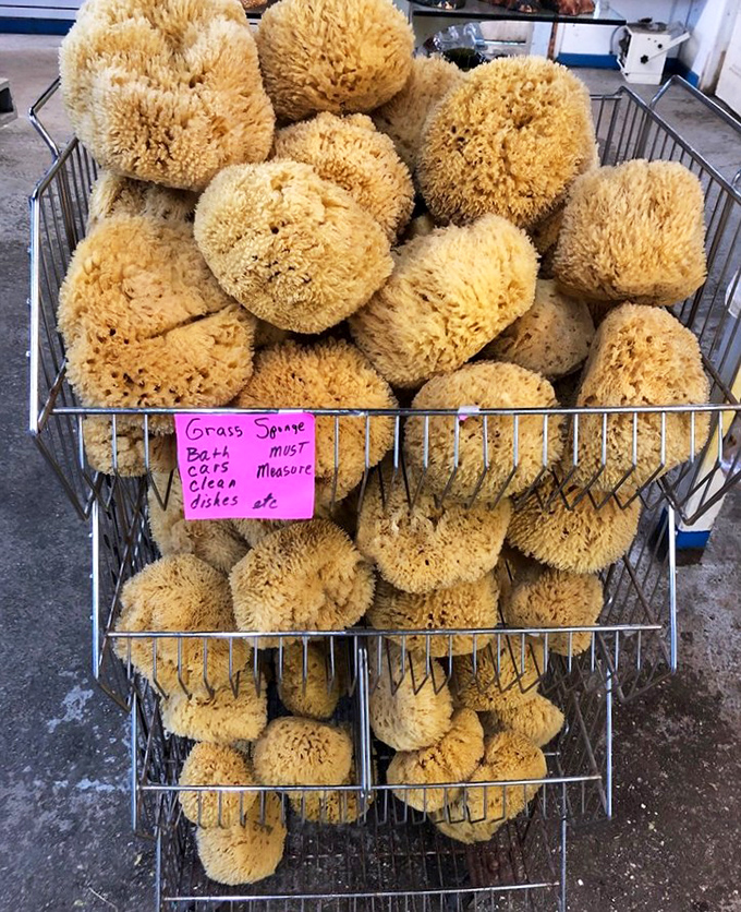 Grass sponges crowd a metal basket, their handwritten sign promising superior dish-cleaning capabilities for the culinary enthusiast.