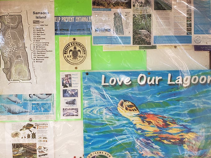 The information board serves as your island treasure map, revealing wildlife secrets and trail mysteries waiting to be discovered.