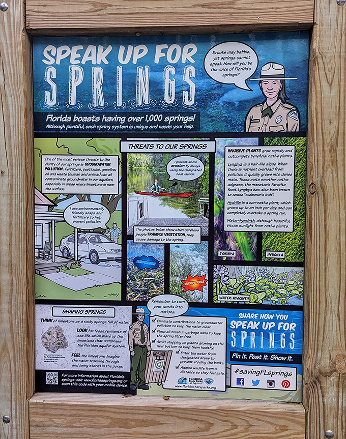 This colorful information board serves as a gentle reminder that springs aren't just pretty faces – they're vital ecological systems worth protecting.