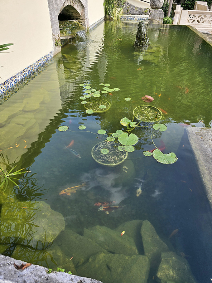 Lily pads float like green islands on tranquil waters where koi fish play, nature's stained glass reflecting the sky in ever-changing patterns.