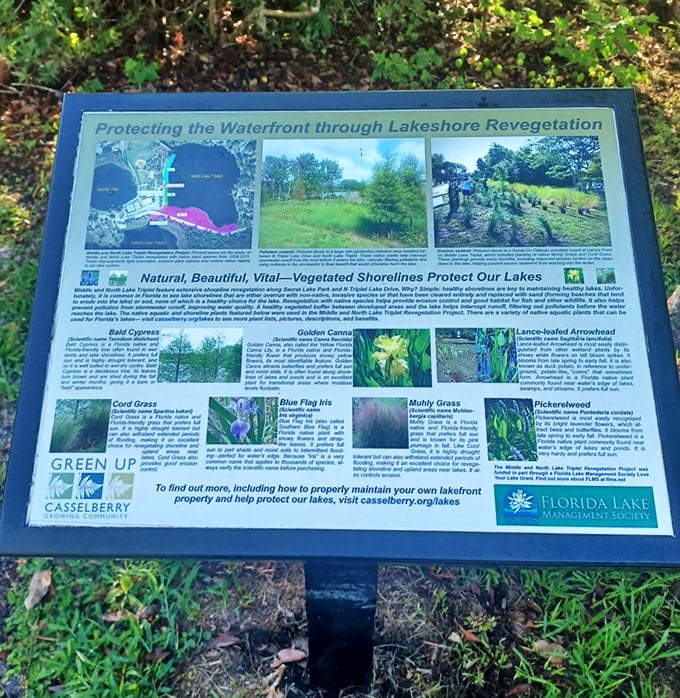 Educational signage explains shoreline revegetation&mdash;proof that sometimes humans can actually fix what we've messed up in nature.