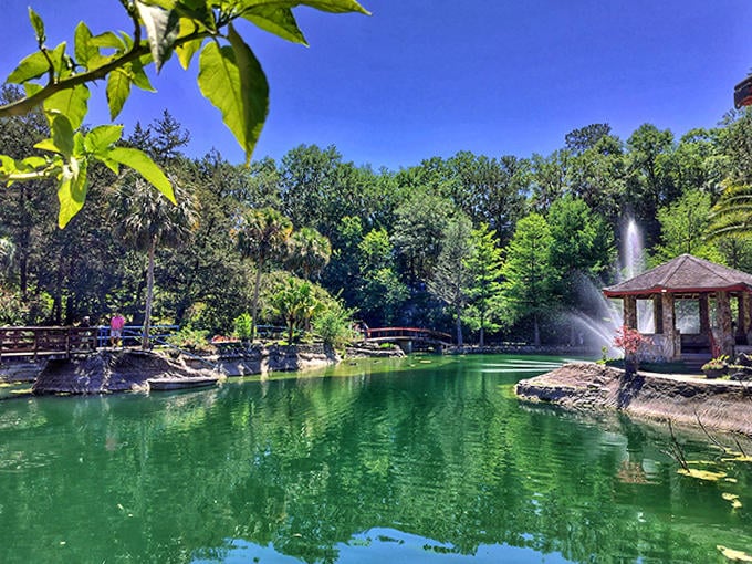 A hidden grotto reveals itself to explorers who venture off main paths, rewarding curiosity with secluded beauty.