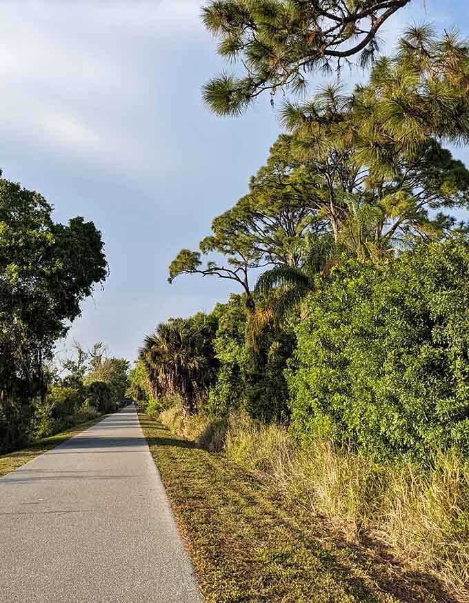 Spanish moss drapes from ancient oaks like nature's own curtains, creating that quintessential Old Florida atmosphere you can't fake or replicate.