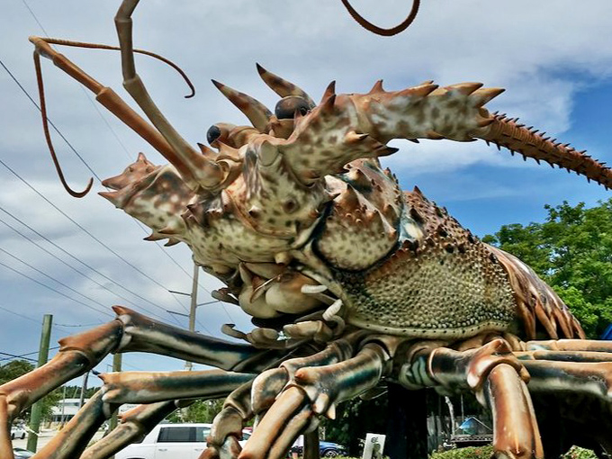 Lobster Head: Those bulging eyes and formidable antennae create an expression that's somehow both intimidating and endearingly cartoonish.