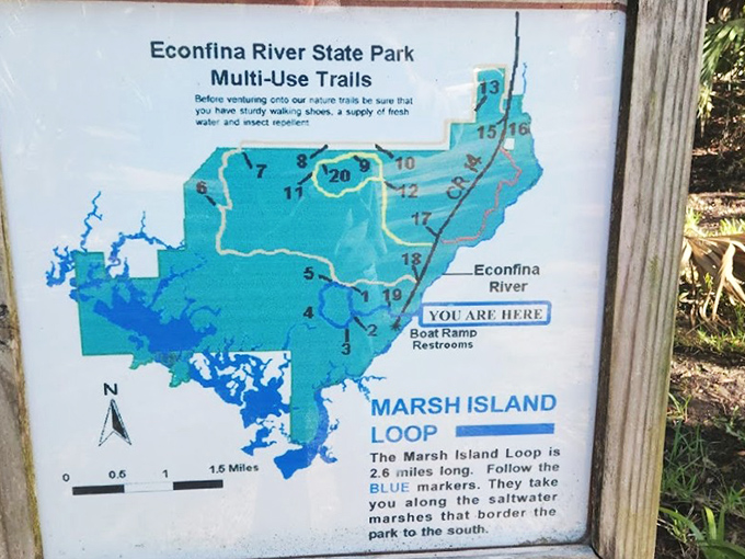 "You are here" &ndash; surrounded by more natural Florida beauty than most visitors ever see in a lifetime.