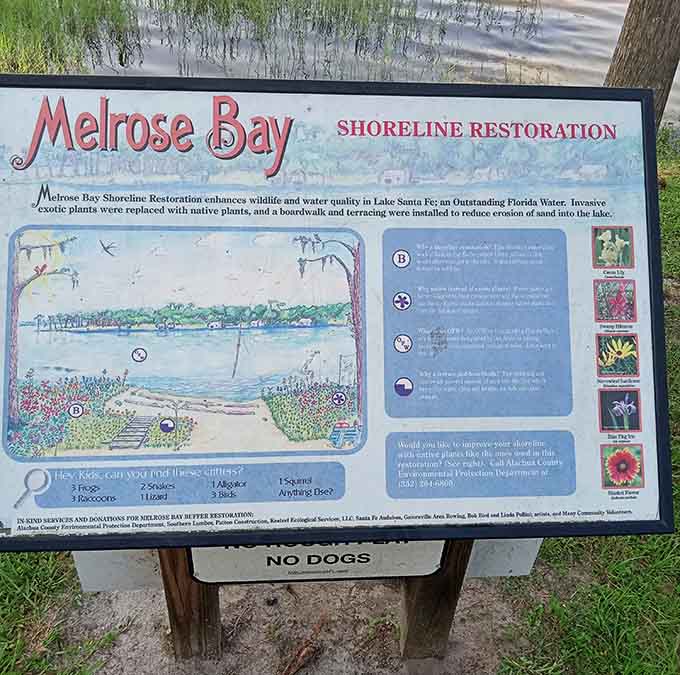Educational signs explain the shoreline restoration efforts, because sometimes doing good for the environment also makes everything look better too.