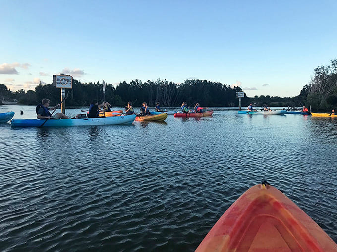 That golden hour glow is beautiful, but it's merely the appetizer before the main bioluminescent course.
