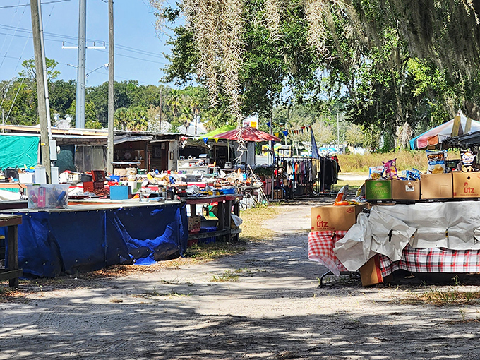 North Lake Flea Market's colorful stalls promise treasure hunting adventures where one person's castoffs become another's prized discoveries.