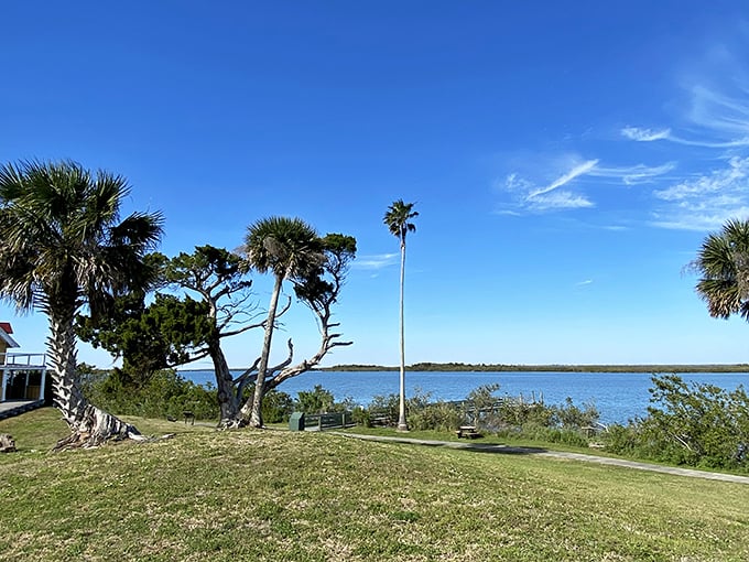 The open grounds offer breathtaking lagoon views, where water and sky merge in a palette of blues unique to Florida's coastal ecosystems.