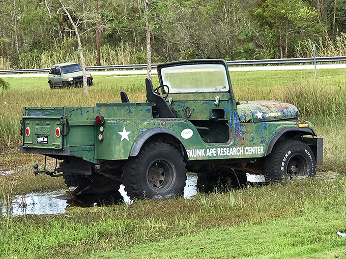 The vintage military Jeep stands ready for Skunk Ape expeditions &ndash; because serious cryptid research requires serious transportation.