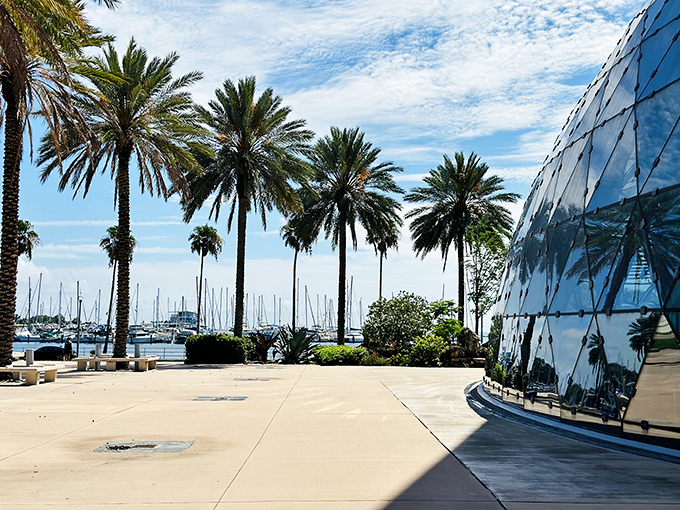 The museum's waterfront location offers visitors a chance to contemplate both artistic and natural beauty in one glance.