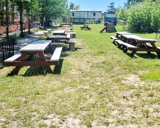 Picnic area: Simple wooden tables offer the perfect spot for families to refuel while surrounded by the ambient symphony of sanctuary sounds.
