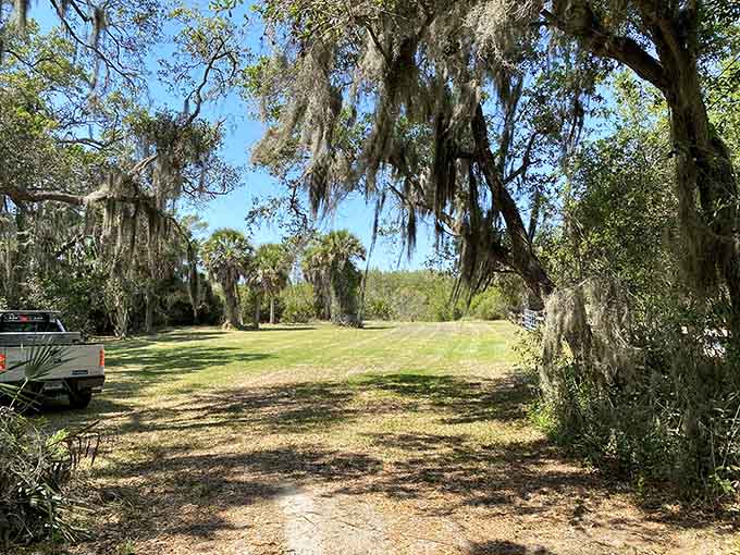 Sprawling landscapes under ancient trees remind us that some of Florida's best treasures don't charge admission or require reservations.