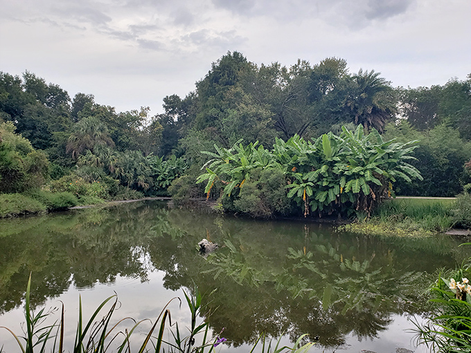 Reflective ponds double the visual impact of surrounding greenery, giving you twice the beauty for the same admission price.