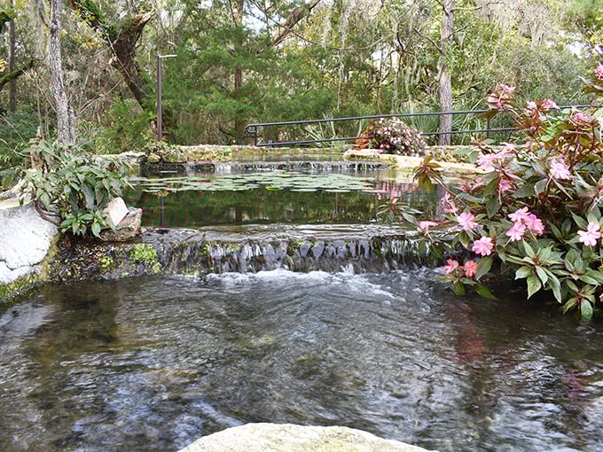 Gentle waters cascade over limestone formations, creating nature's own spa treatment that's been perfected over millions of years.