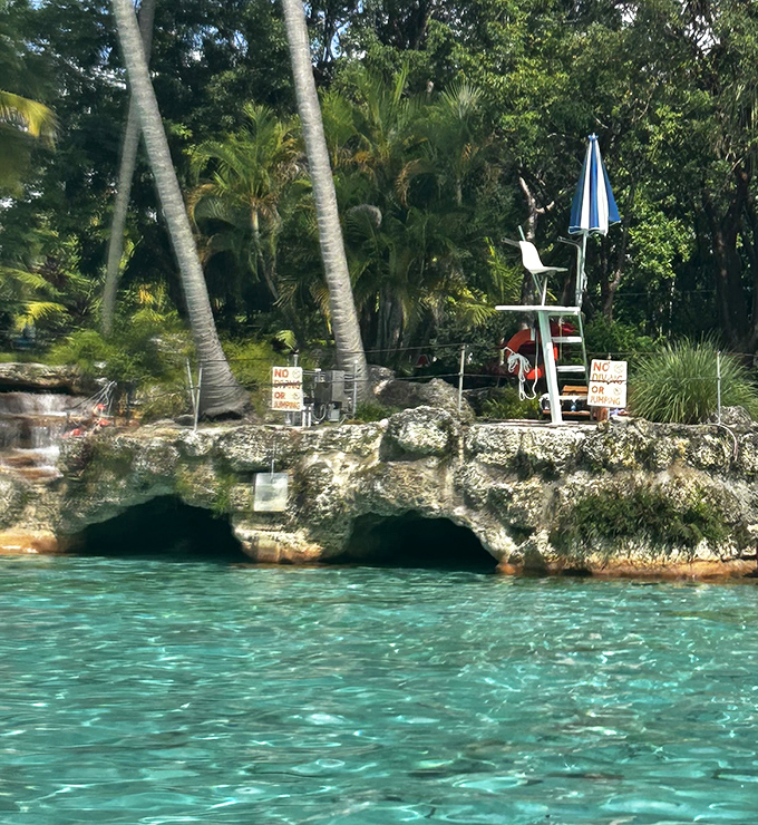 Nature reclaims its edges as lush vegetation surrounds the pool's rocky outcroppings, creating secret gardens and hidden nooks to discover.