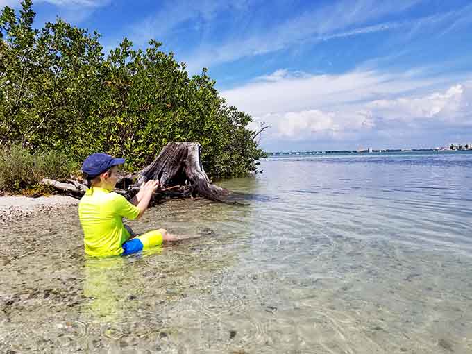 Young explorers discover that the best playground doesn't need swings or slides, just shallow water and endless curiosity about what lives there.