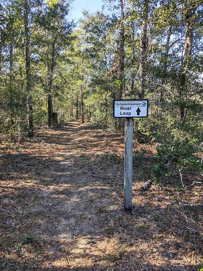 Follow the River Loop for a journey through multiple ecosystems &ndash; nature's version of changing channels without a remote.