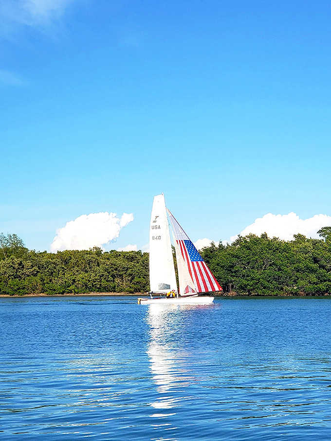 This sailboat captures the essence of Florida freedom – red, white and blue against endless azure, riding winds of pure possibility.