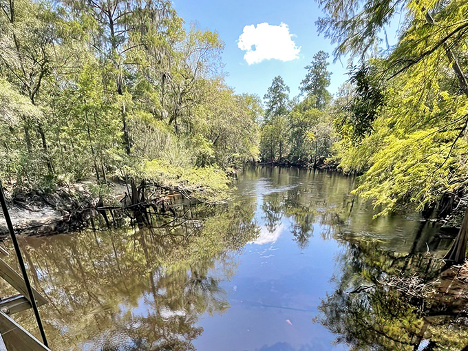 The Santa Fe River flows serenely before its dramatic disappearing act, a waterway that's been shaping this landscape for millennia.
