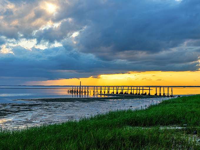 Sunset transforms an ordinary pier into a silhouette worthy of framing. Nature's daily farewell performance never disappoints.