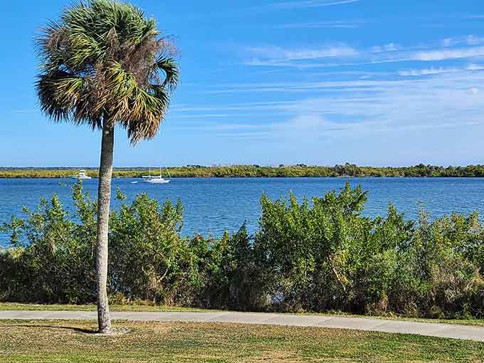 The coastal landscape here showcases the Indian River Lagoon's beauty, one of North America's most biodiverse estuaries and a haven for countless species.