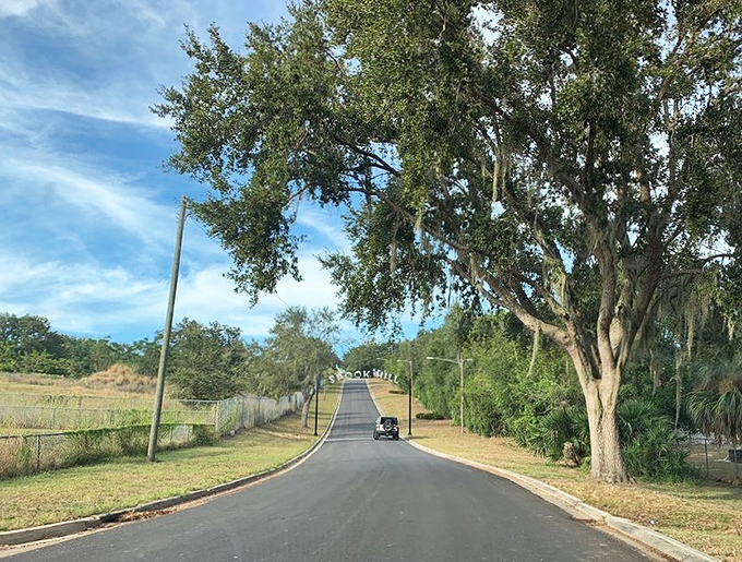 Spanish moss drapes the oak trees along Spook Hill Road, creating a quintessentially Southern backdrop for this uniquely Floridian phenomenon.