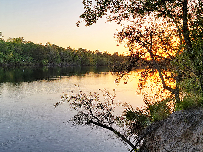 Magic hour at Little River Springs, when the setting sun transforms ordinary water into liquid gold beneath a pastel Florida sky.