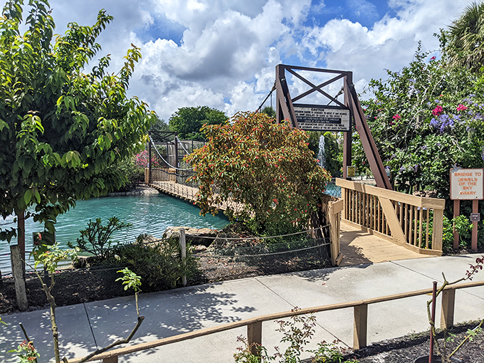The suspension bridge entrance promises adventure ahead. Like the gateway to a secret world where butterflies rule and humans are just visiting.