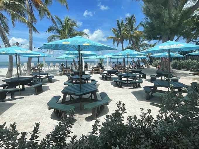 Outdoor seating faces the Gulf directly, offering front-row seats to nature's nightly show with teal umbrellas providing shade until showtime begins.