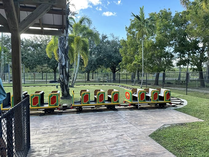 All aboard the safari express! This colorful train offers little explorers a wild ride through animal territory.