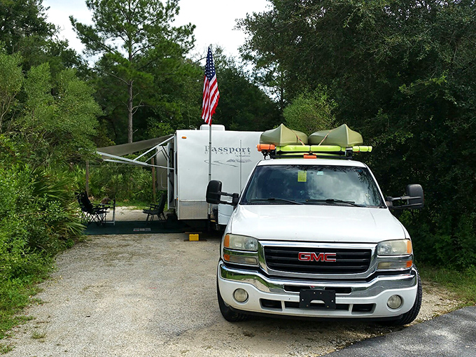 RV campers set up shop under the shade of towering trees, proving that roughing it can include air conditioning, satellite TV, and all the comforts of home, just with a better view.