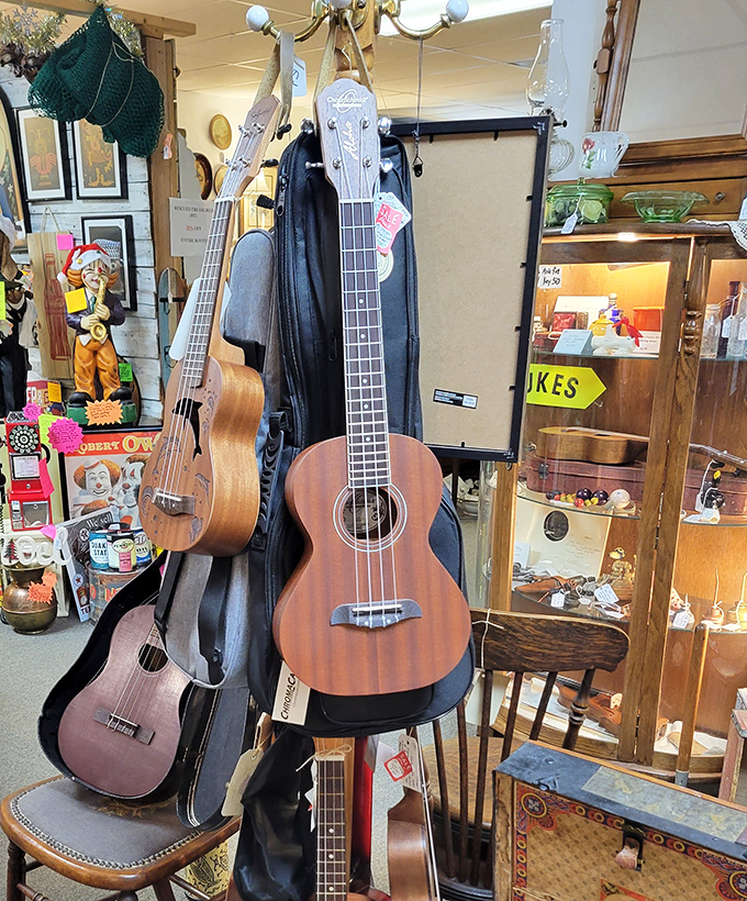 These ukuleles hang like tropical fruit, their warm wood tones and taut strings promising island melodies and front porch jam sessions.